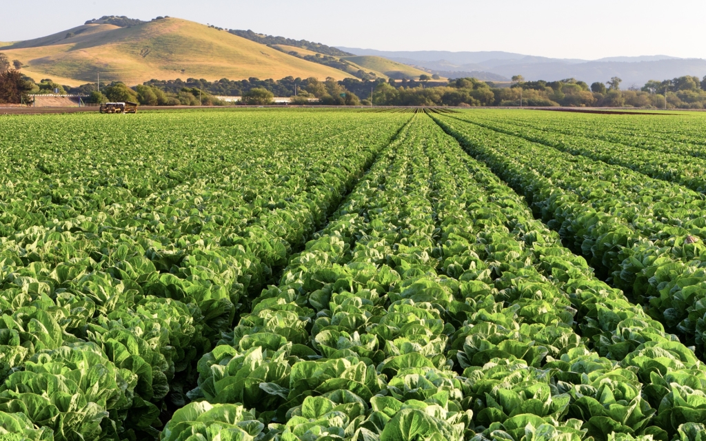 OxiPhos® – BioSafe Systems