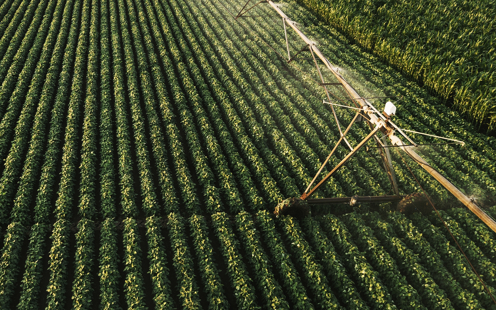 Dosatron Water Powered Dosing System – BioSafe Systems