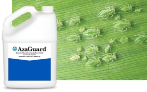 Products – BioSafe Systems