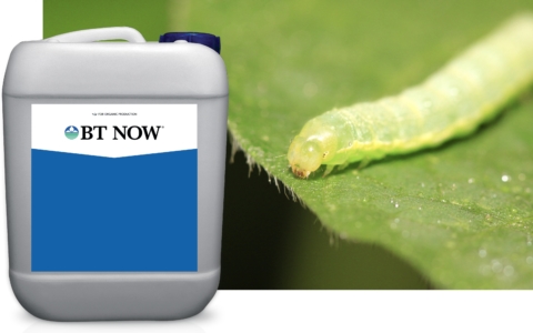 Products – BioSafe Systems