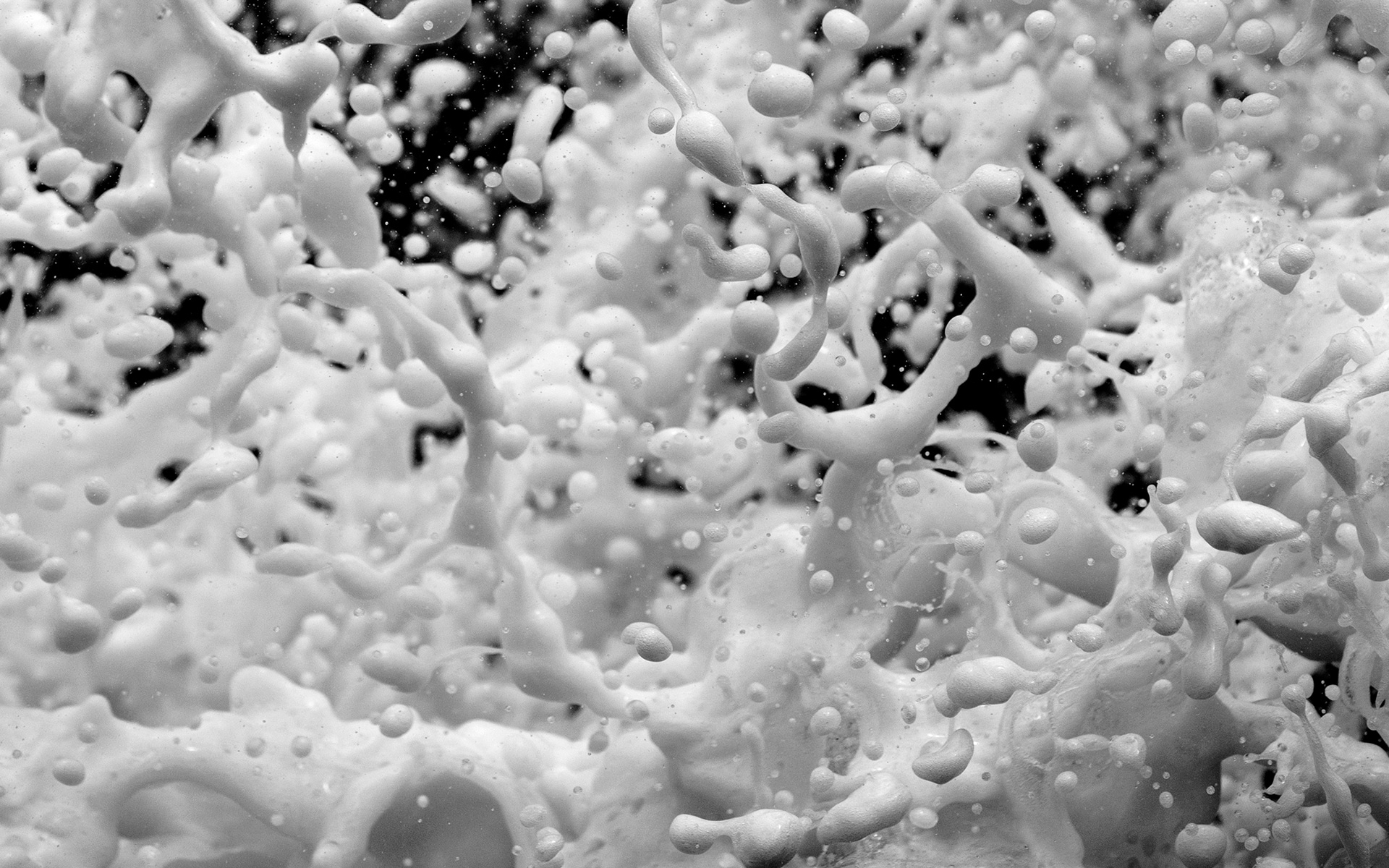 BioFoamer - BioSafe Systems