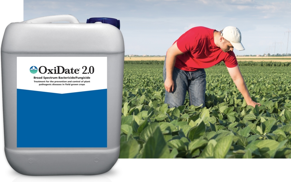 Labels & SDS – BioSafe Systems