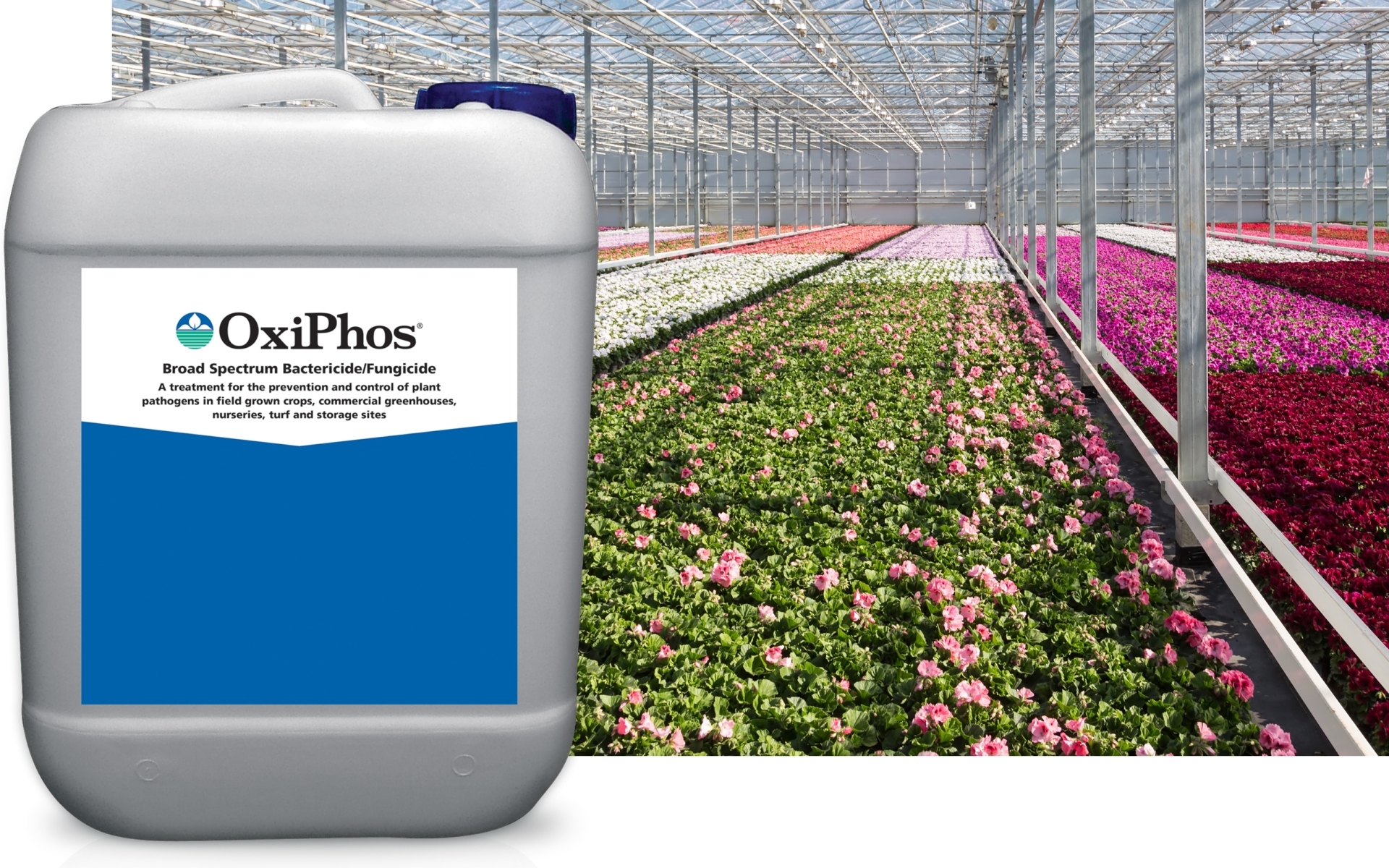 Products – BioSafe Systems