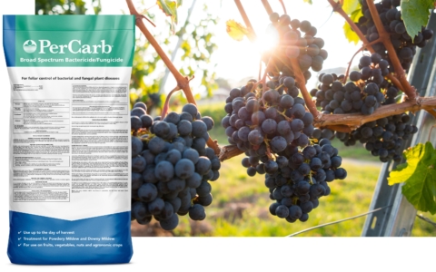 Products – BioSafe Systems