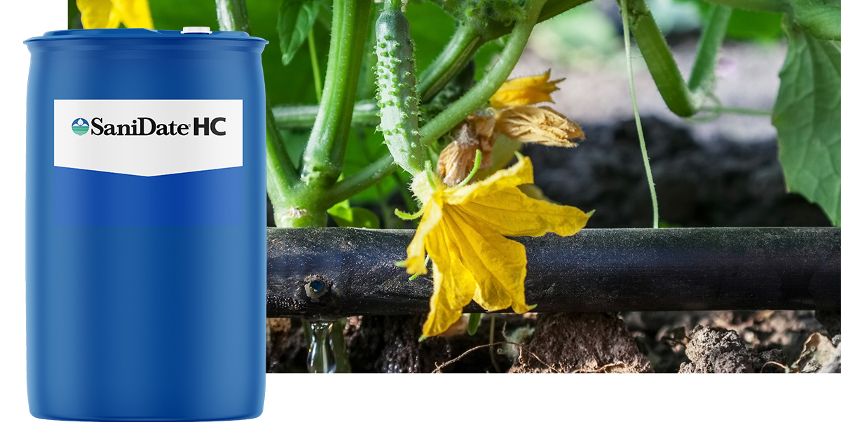 SaniDate® HC - BioSafe Systems