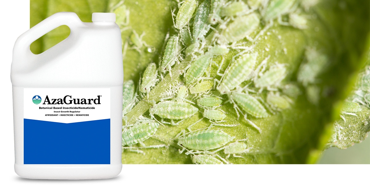 AzaGuard® - BioSafe Systems