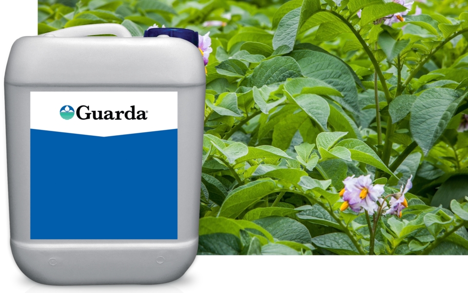 Labels & SDS – BioSafe Systems