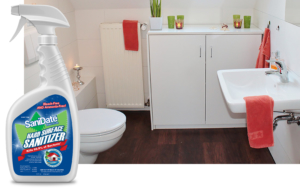 Sanitizers – BioSafe Systems