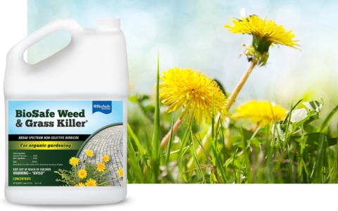 Labels & SDS – BioSafe Systems