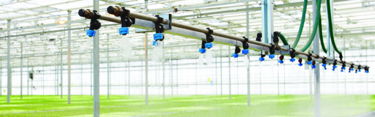 BioSafe Systems’ Two-Step Procedure Ensures Clean Irrigation Lines ...