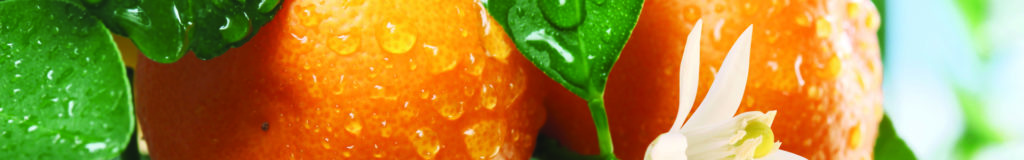 California OxiPhos Label Now Includes Citrus! – BioSafe Systems