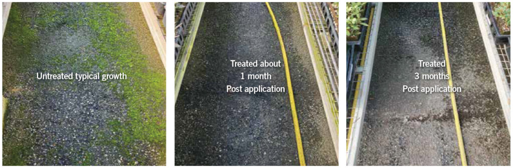 Versatile GreenClean® PRO Controls Algae and Other Greenhouse Pests ...